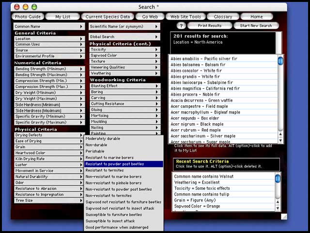 The Wood Explorer by Jim Mattson